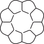 Home | Anna Maria Pitt